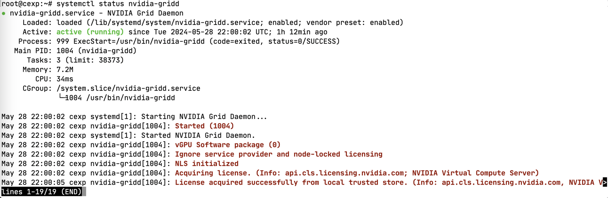 Sharing NVIDIA® GPUs at the System Level: Time-Sliced and MIG-Backed vGPUs – Colfax Research